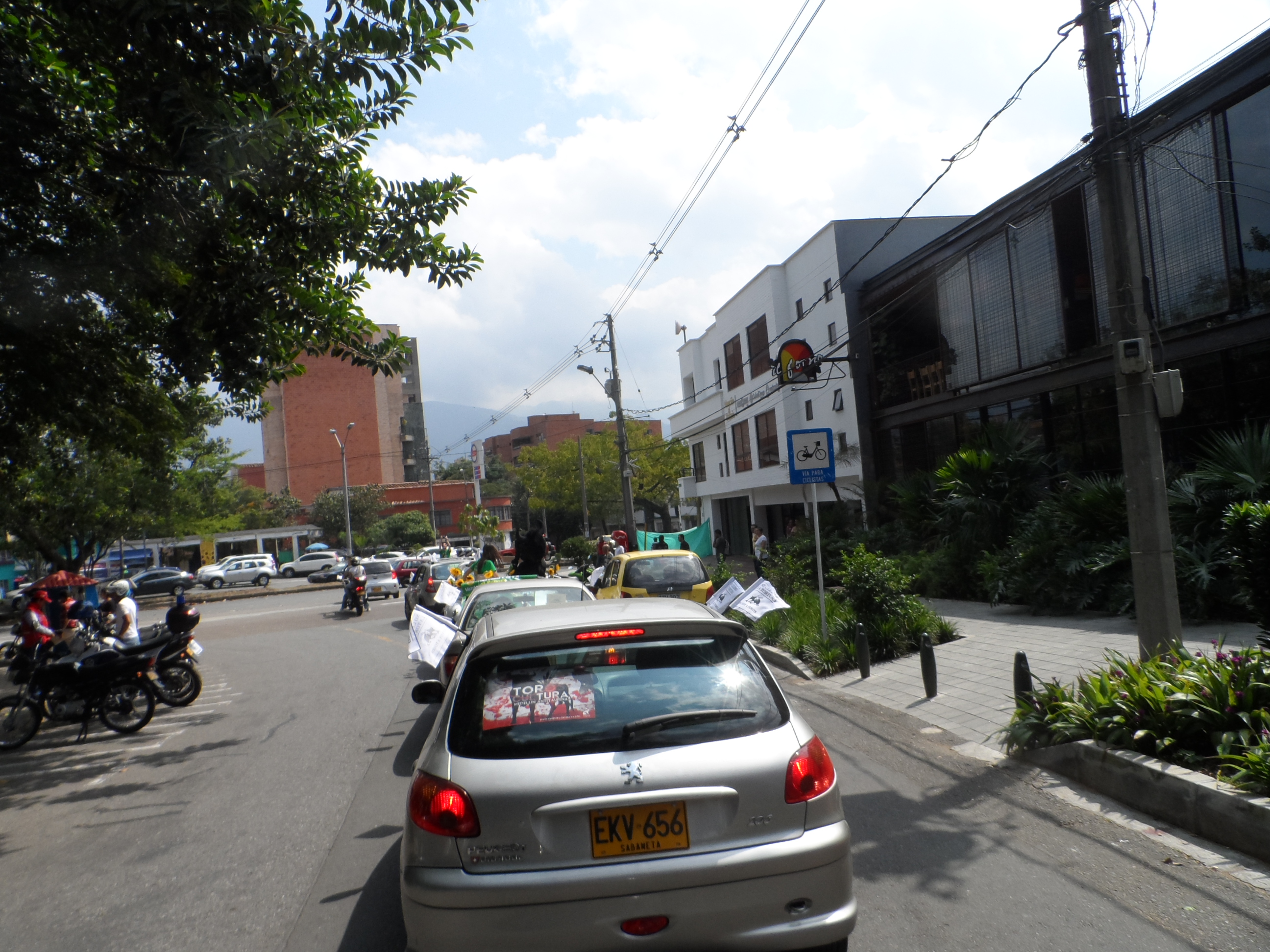 SAM_2422 – Doctor Pulgas