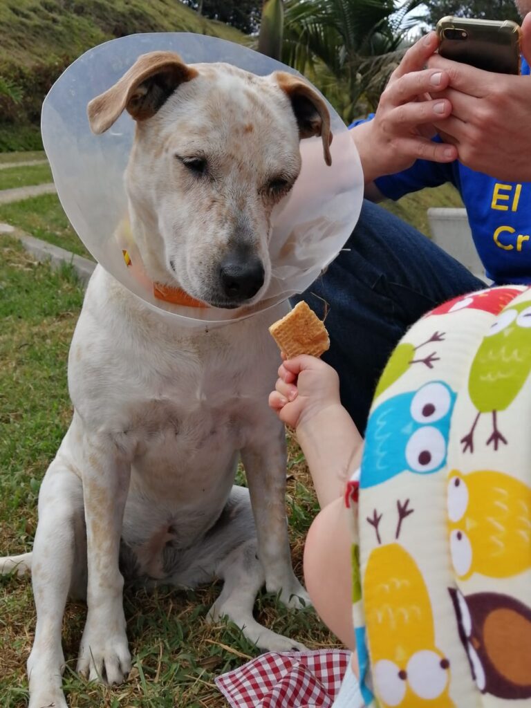 Ágatha, el animal feroz – Doctor Pulgas